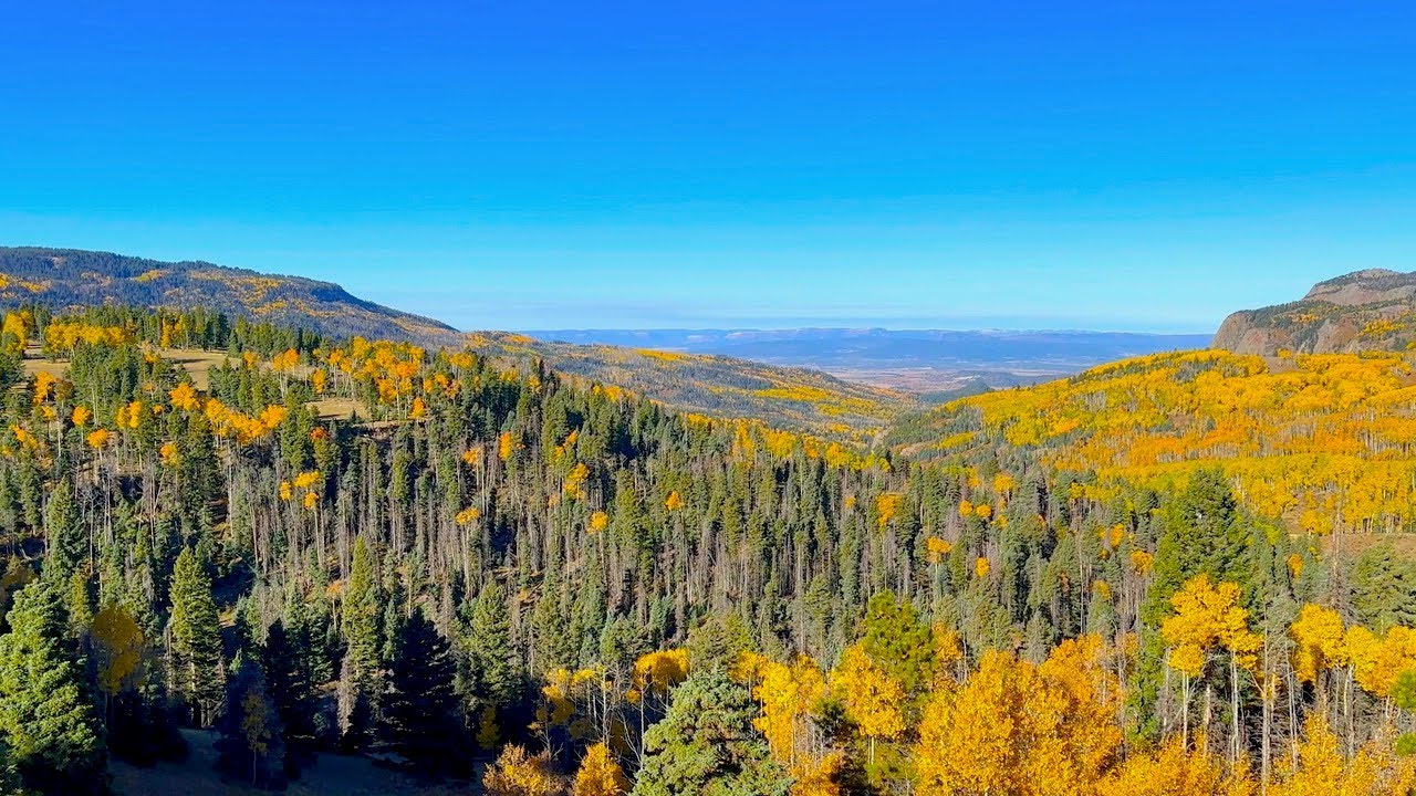 "I Am Willing" ~ Liquid Mind ~ Soothing music for SLEEP & RELAXATION 4K ...