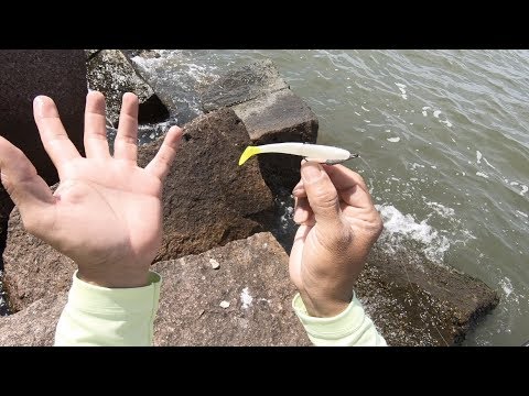 (S1 Ep125) Slow day at the North Jetty, Port Bolivar TX / Hogie's care ...