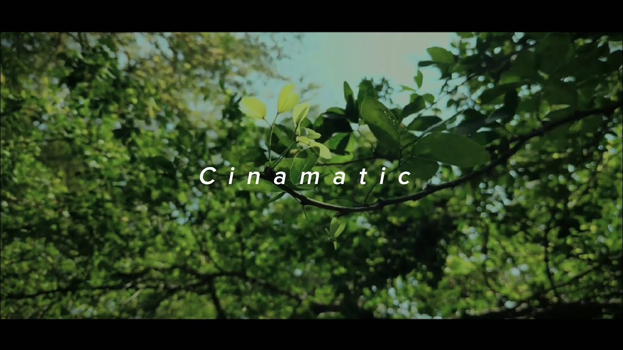 CINEMATIC || INTO THE NATURE || WEEKEND'S || SUMMER || CINEMATIC VIDEO ...