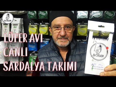 CANLI LÜFER TAKIMI / Sardalya ile Lüfer Avı - (AVCIADAM)
