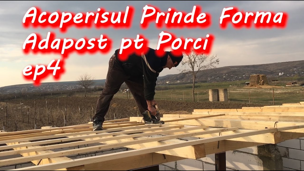 Acoperisul Prinde Forma (adapost pentru porci ep4) - YouTube