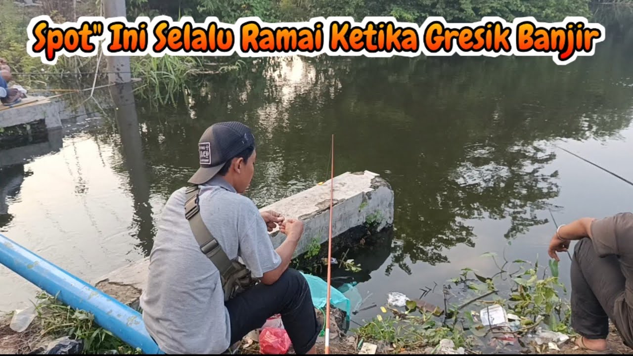 Spot Mancing Banjiran Gresik Ini Sangat Potensial || Tak Pernah Sepi Pemancing saat banjir tiba ...