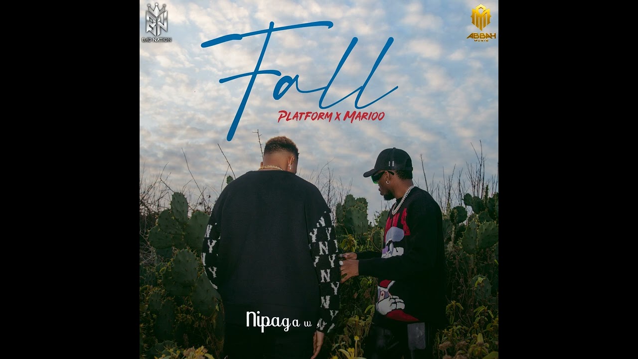 Platform Tz X Marioo - Fall (Official Music Audio) - YouTube