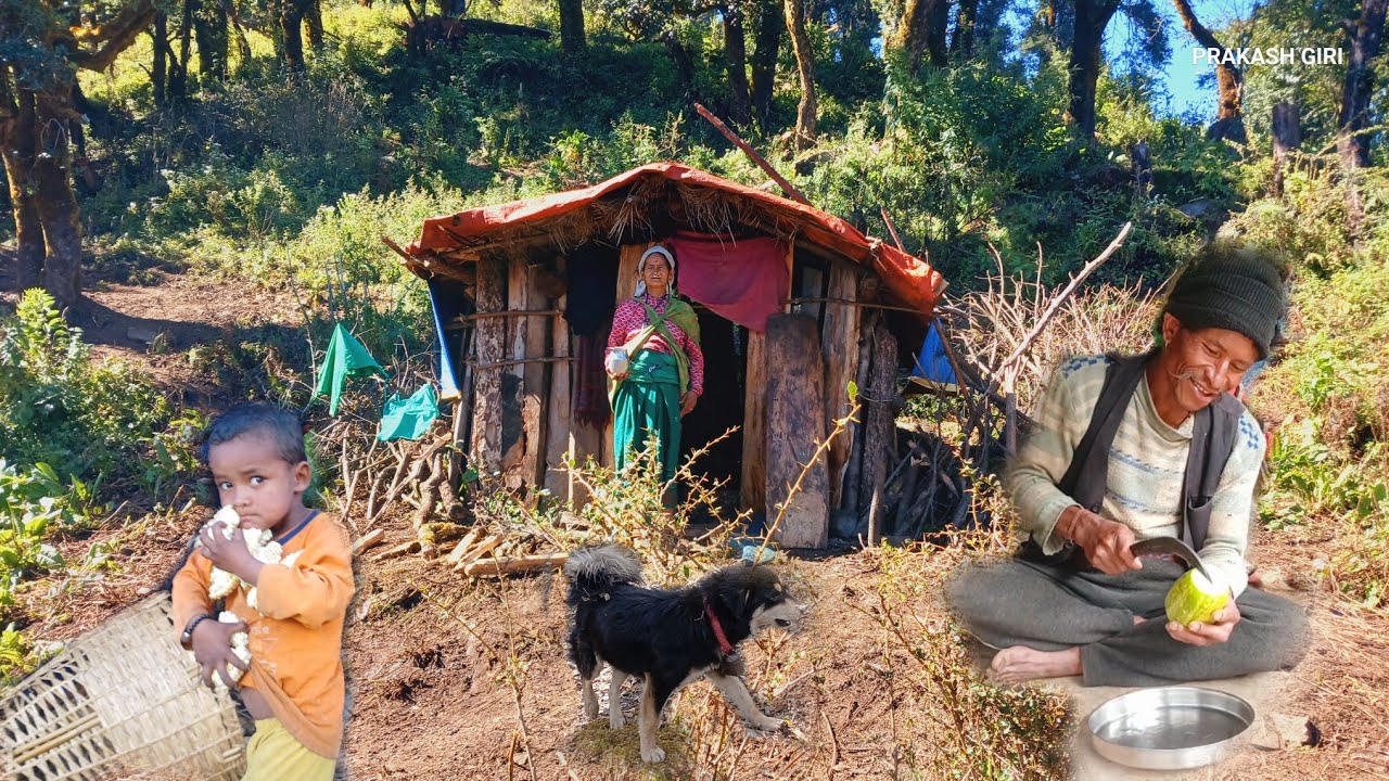 Beautiful Himalayan life | Daily Work, Beautiful Stories And Fun ...