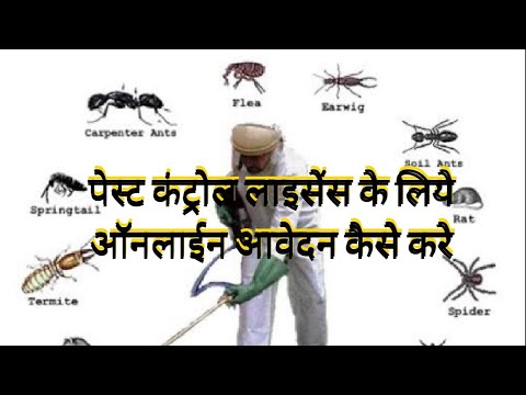 How To Get Pest Control License In Maharashtra