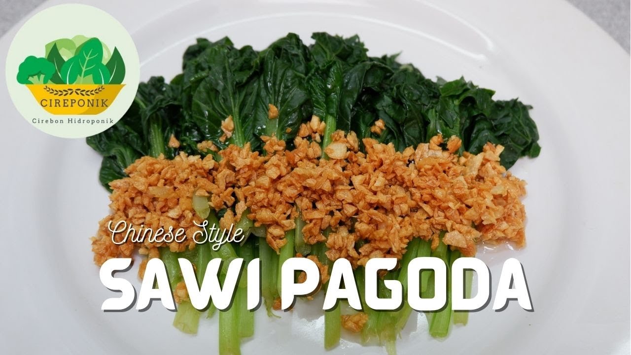 RESEP SAWI PAGODA CHINESE STYLE || SIMPLE TAPI ENAKKKK - YouTube