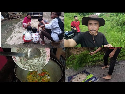 Hunting for edible ant larvae in wild forest of Manipur || Ant Caviar ...
