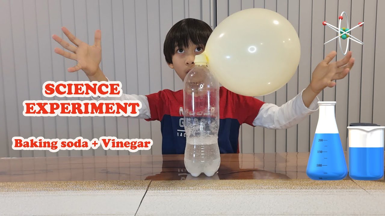 Balloons Blow Up using baking soda and vinegar Science experiment for ...