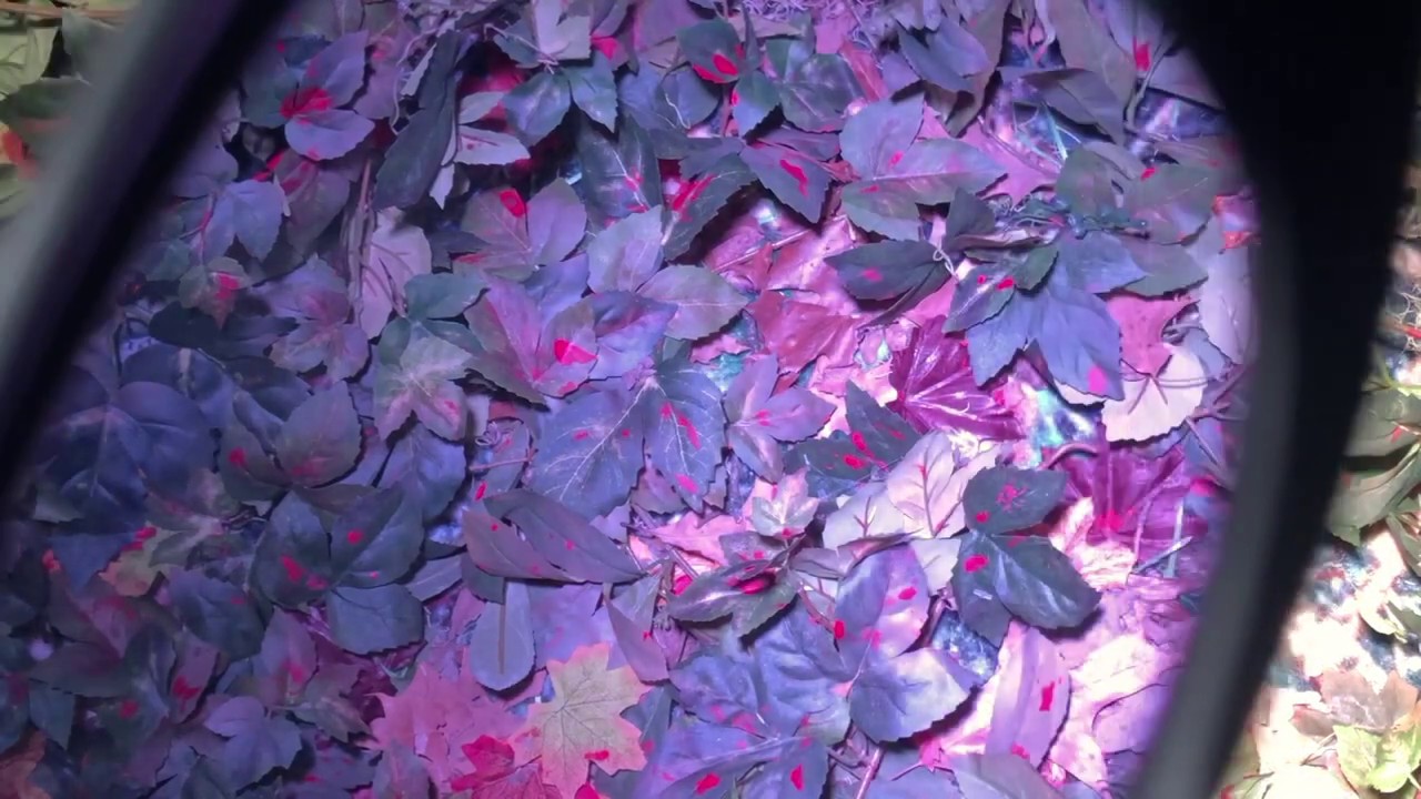 BLOODVISION Blood Trailing Glasses Through the Lens - YouTube