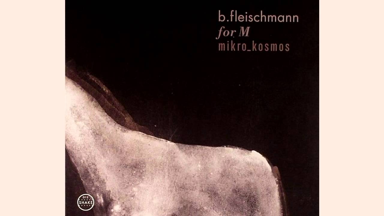B.Fleischmann - Mikro_Kosmos - YouTube