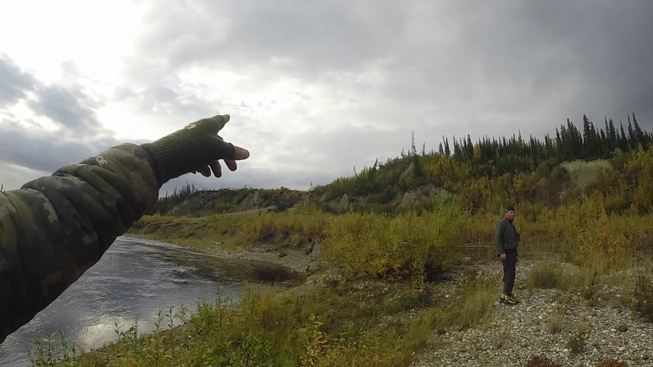 Selawik Thaw Slump - YouTube