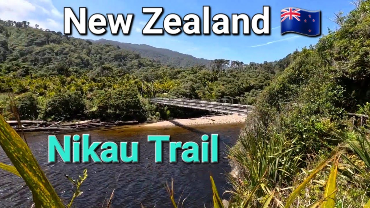 Nikau Walk (Heaphy Track) New Zealand - YouTube