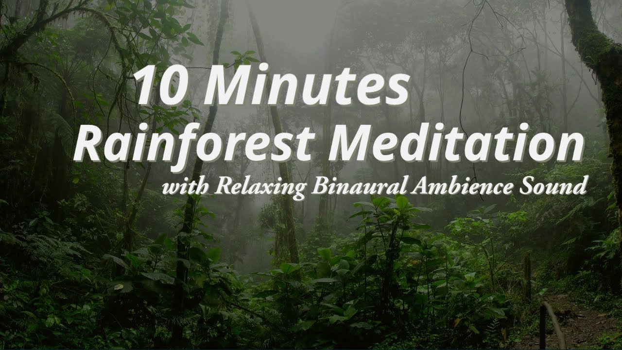 Rainforest Meditation Music Video ~heal Your Mind And Soul Youtube