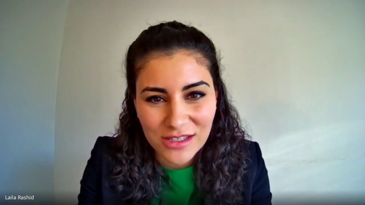 Eleanor Smeal speaks on our special women's rights panel - YouTube