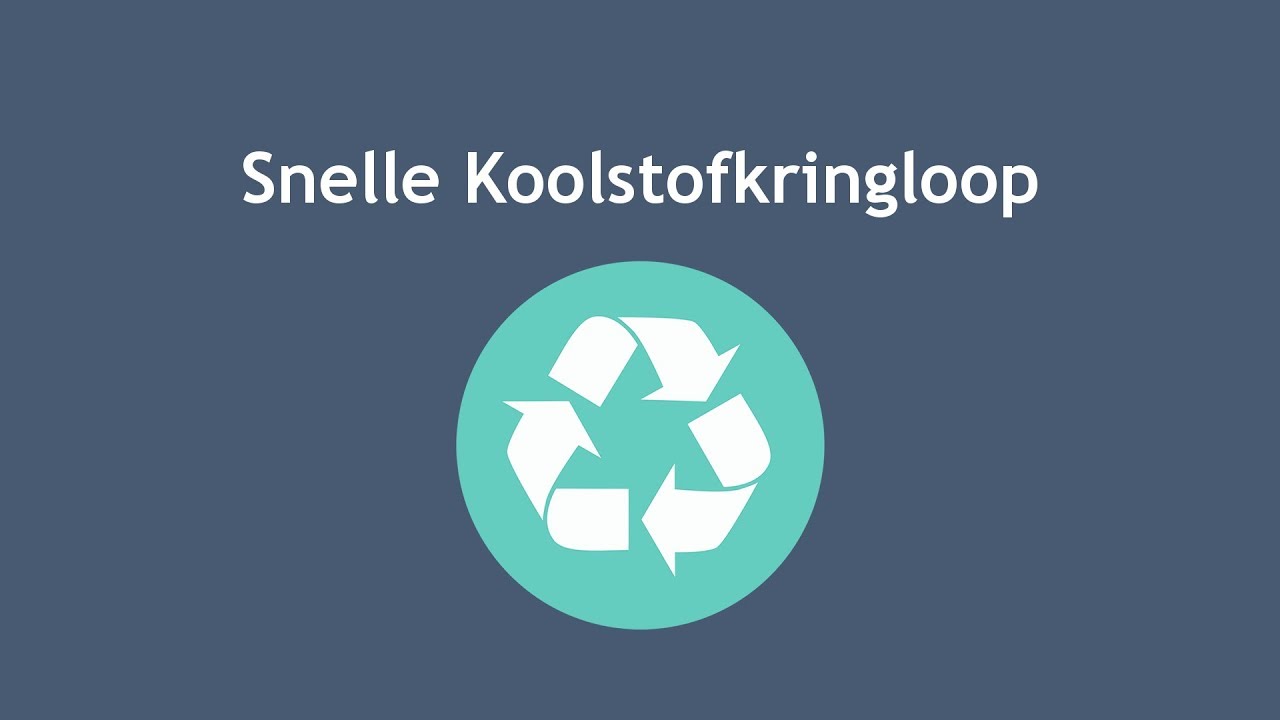 Koolstofkringloop | Animatie met uitleg | Biologie VWO - YouTube