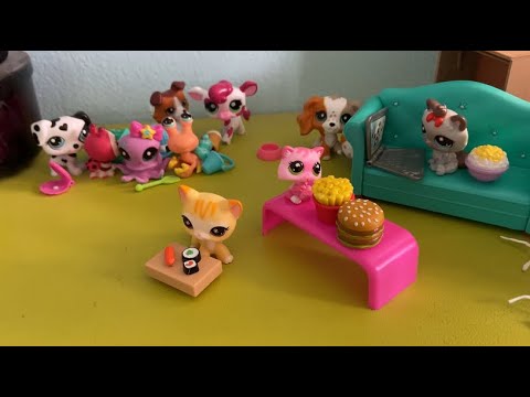 Wave 3 LPS: Diner Dash + Pet Pairs unboxing - YouTube