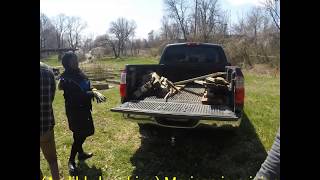 Volunteering With Bartram's Garden