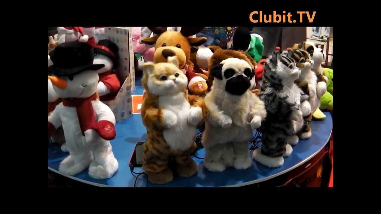 Dancing Ginger Toy Cat - YouTube