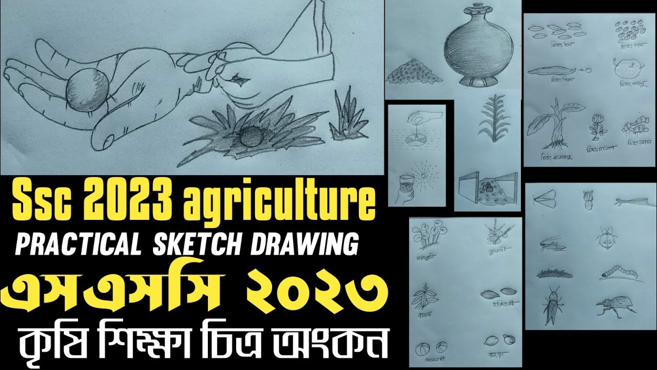 Ssc 2023 Agriculture Practical Drawing | Short syllabus agriculture ...