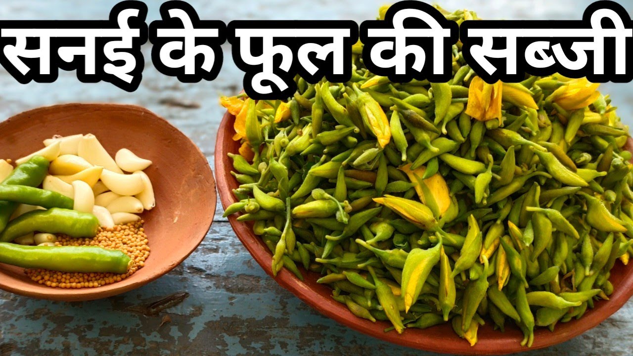 सनई के फूल की सब्जी|How To Make Sanai Ke Phool Ki Sabji| सनई के फूल की ...