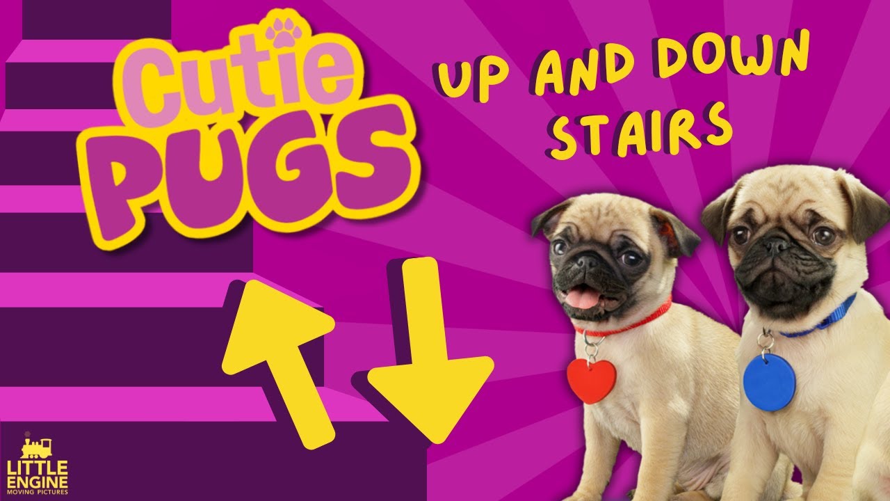 ⬆️Up and Down Stairs⬇️| Cutie Pugs🐶 | Animals for Kids🐾 - YouTube
