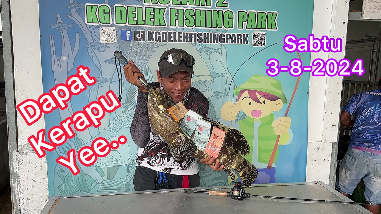 Sabtu3-8-2024 aksi Tiger di kolam 2 delek #sportsfishing #fishing # ...
