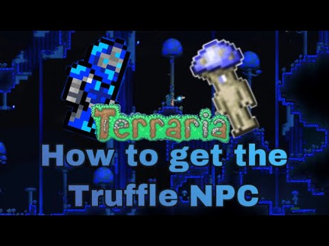 How to get the Truffle NPC in Terraria! - YouTube
