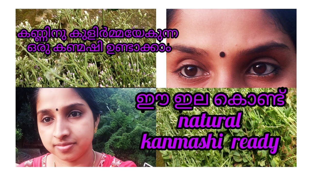 kanmashi making/ഒരു തരം ഇല കൊണ്ട് ഒരു വർഷത്തേക്കുള്ള കണ്മഷി ഉണ്ടാക്കാം ...