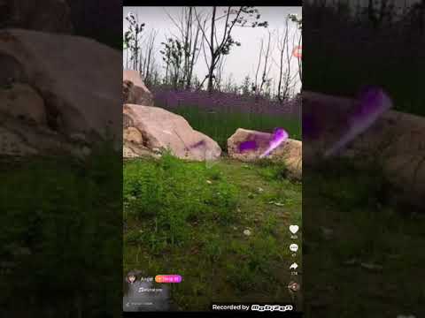 EN GÜZEL VE EN KOMIK LIKE VIDEOLARI