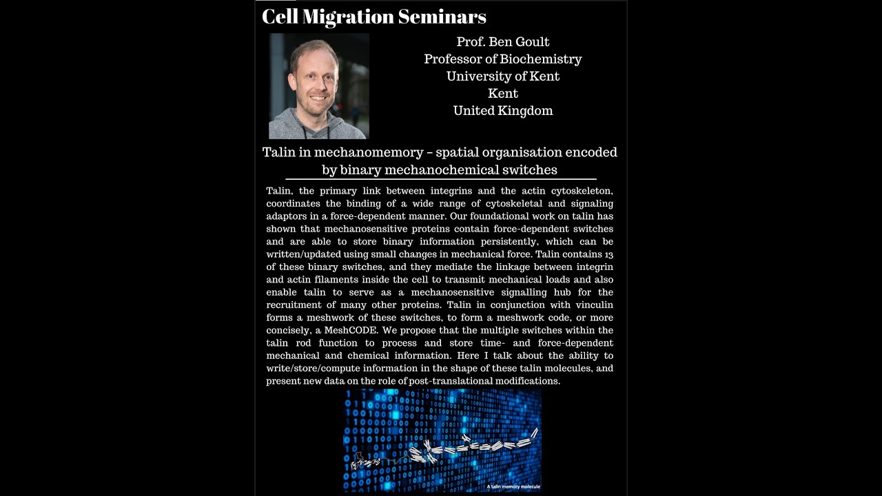 Cell Migration Seminars 80 - Ben Goult (Topic - Binary switches in the ...