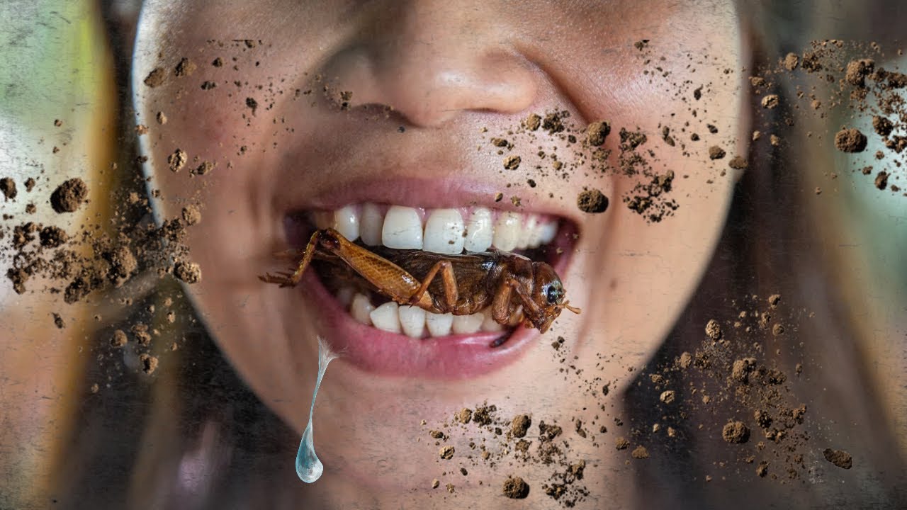 Klaus Schwab's WEF Agenda Pushes Netherland Schools To Eat Ze Bugs ...