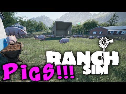 RANCH SIM - PIGS !!! - YouTube