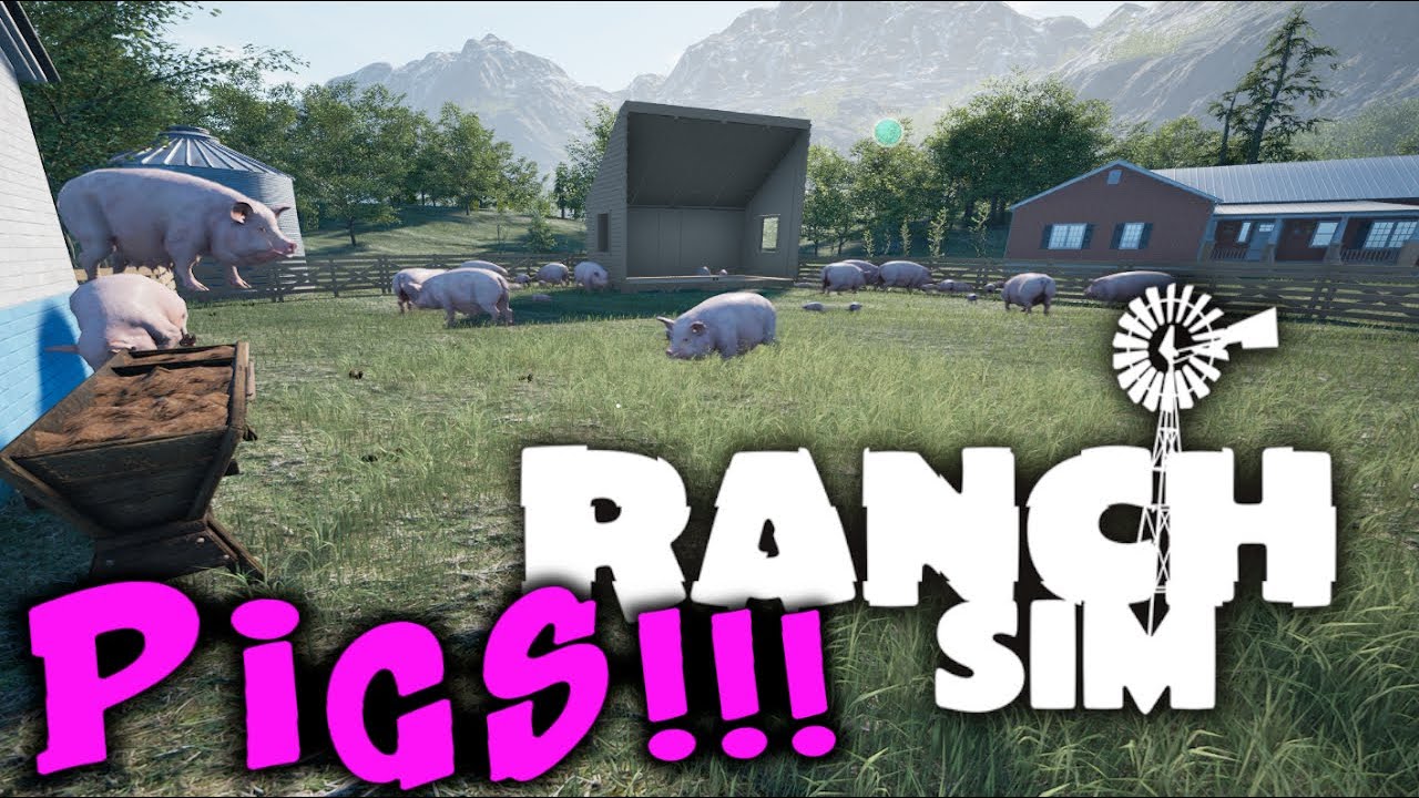 RANCH SIM - PIGS !!! - YouTube