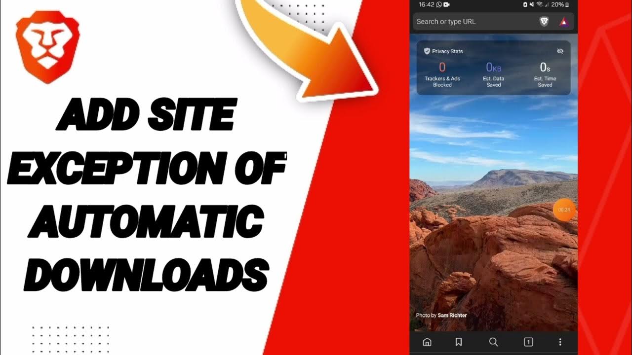 How To Add Site Exception Of Automatic Downloads On Brave Private Web ...