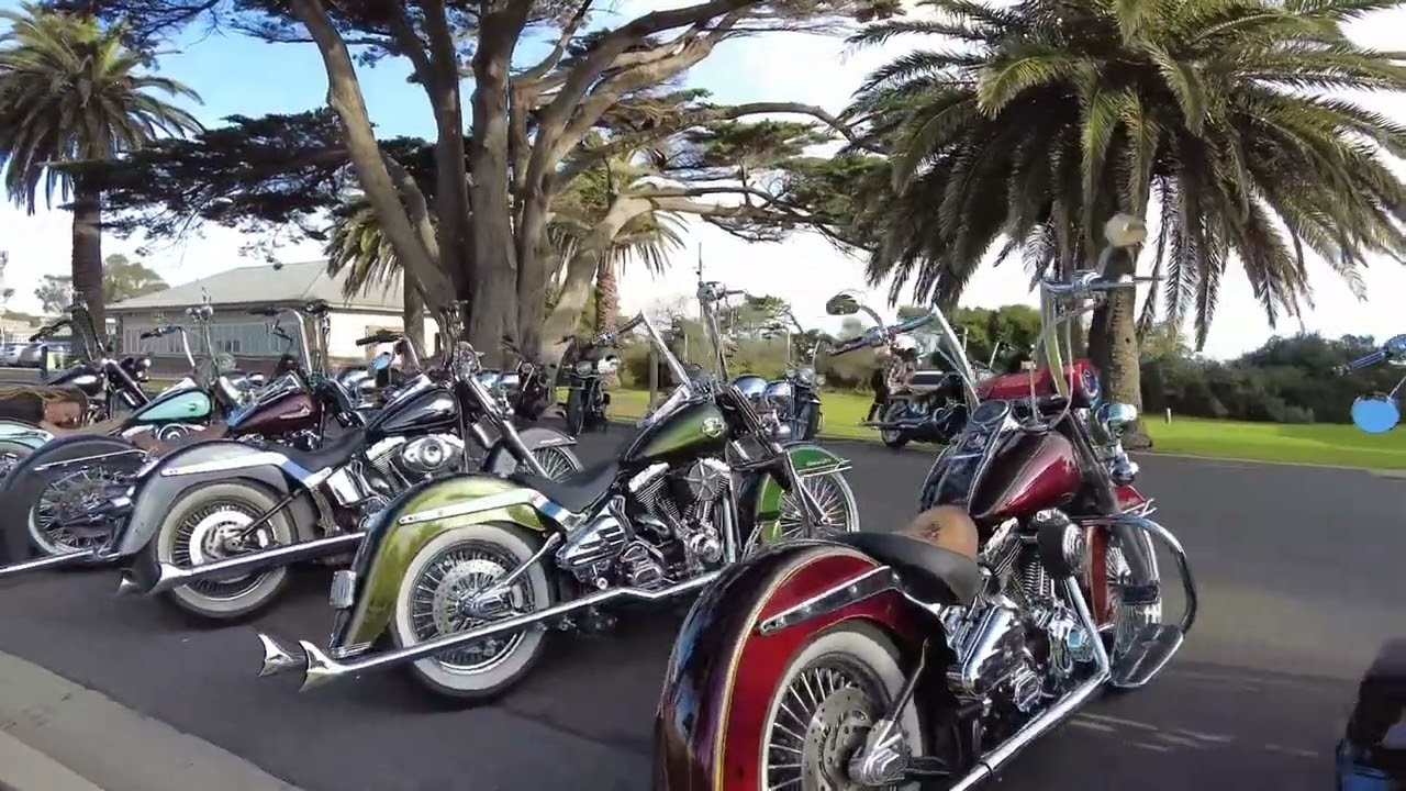 Aussie Viclas Winter Lineup - YouTube