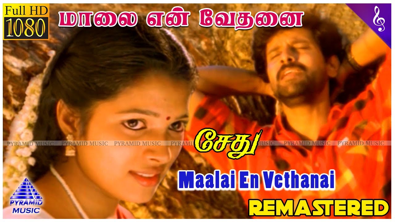 Maalai En Vethanai Video Song | Sethu Tamil Movie Songs | Vikram | Bala ...