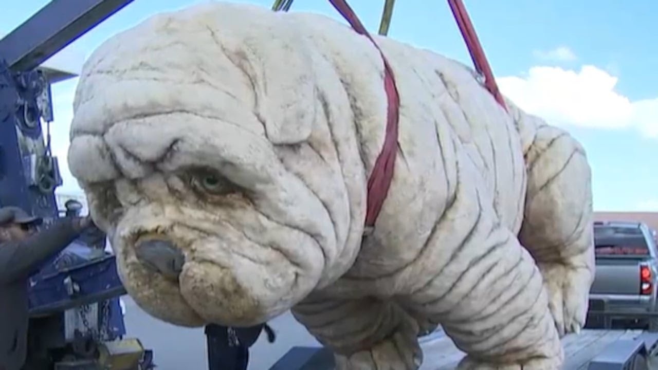 Las Vegas Good Deed Project brings home 700-pound mascot - YouTube