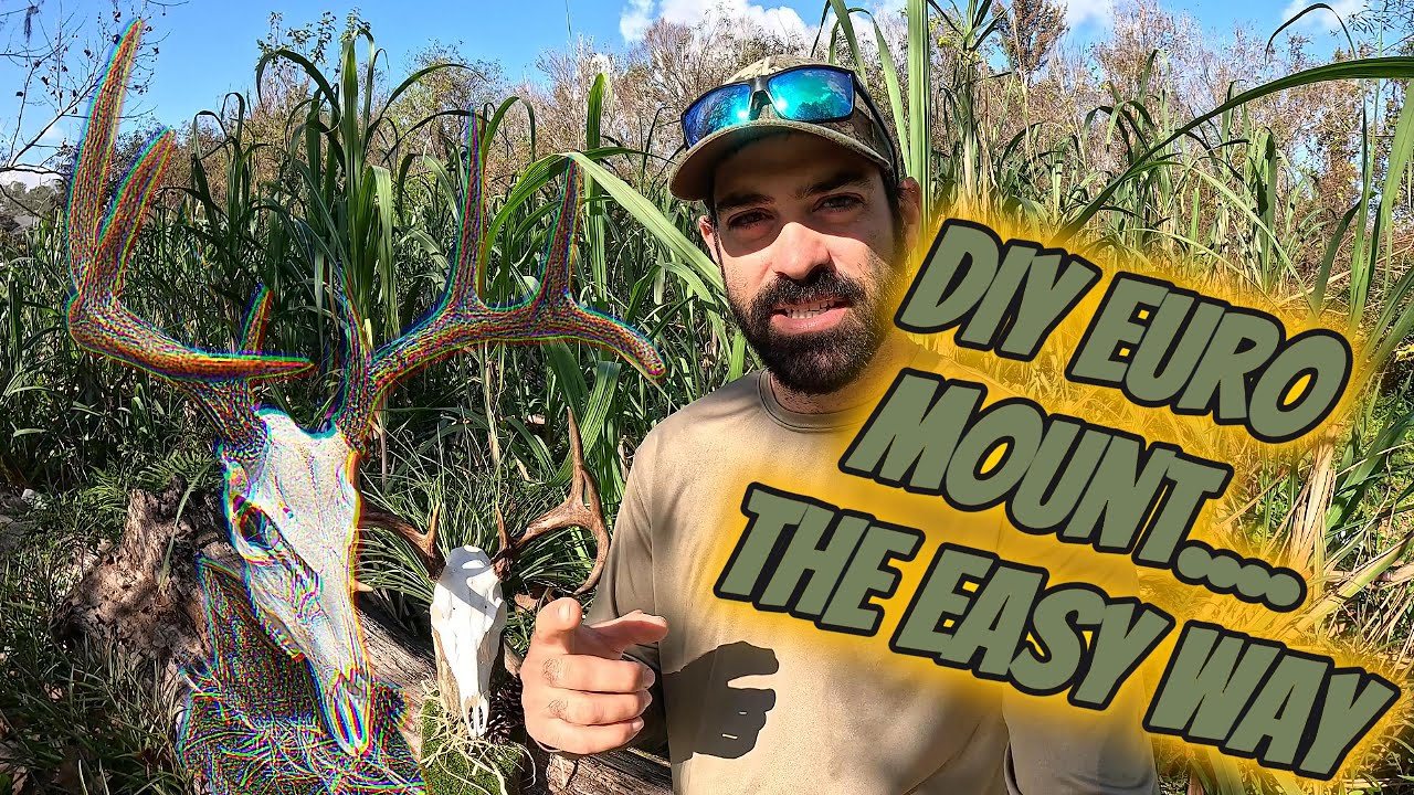 DIY How to Make a Euro Mount with a Whitetail Deer Skull.... The easy ...