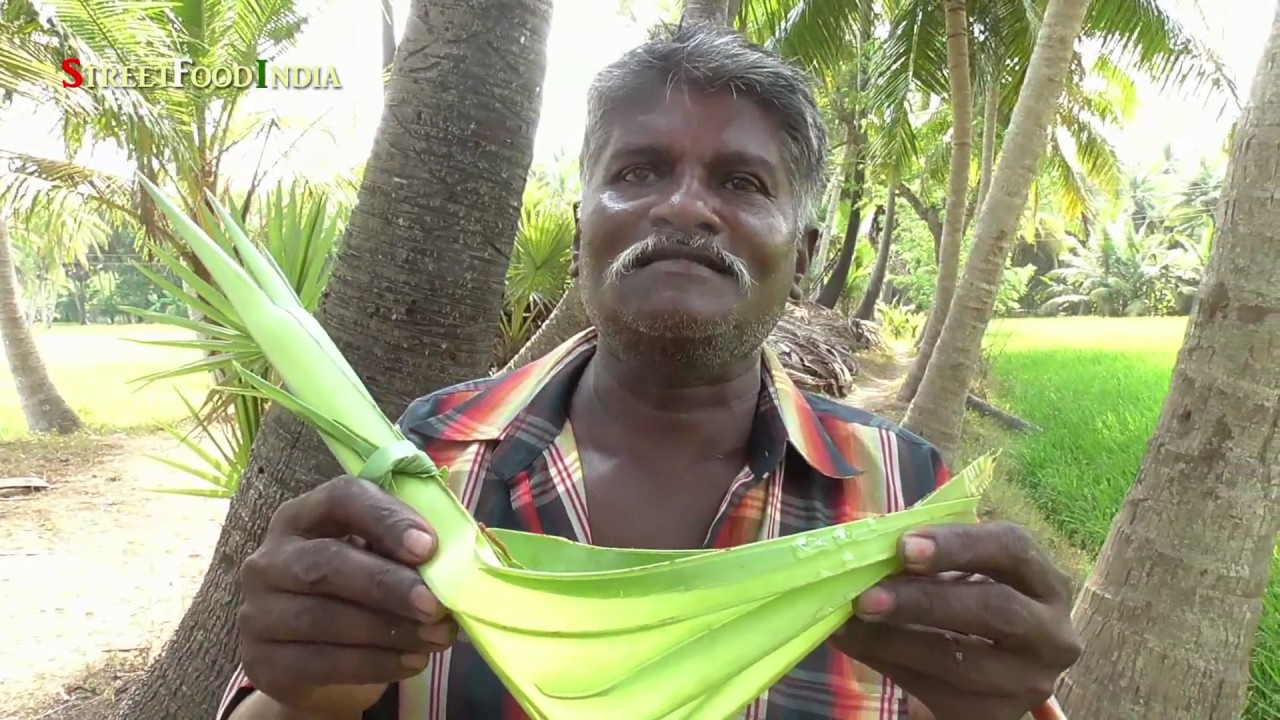 TODDY palmyra SAP | JUICE of Asian palmyra palm wine | Neera ...