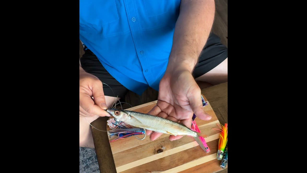 Easy & Secure! How to Rig Ballyhoo with a Bait Spring Like a Pro! - YouTube