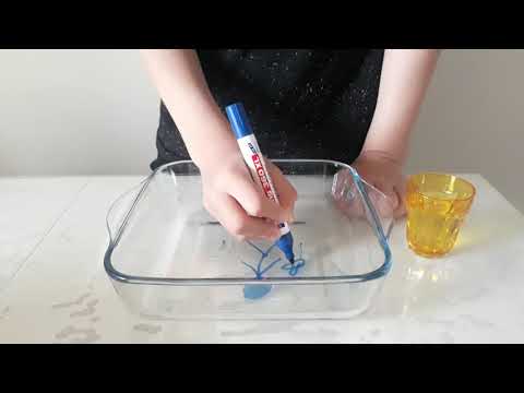 HAREKETLİ RESİM DENEYİ 🖼 BU ENTERESAN DENEYE SİZDE ŞAHİT OLUN.