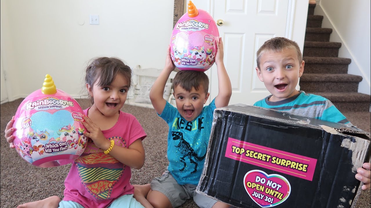 We OPEN our TOP SECRET SURPRISE BOX! - YouTube