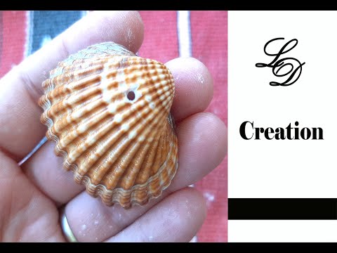 Shell craft idea - How to drill a hole in a seashell without a drill ...