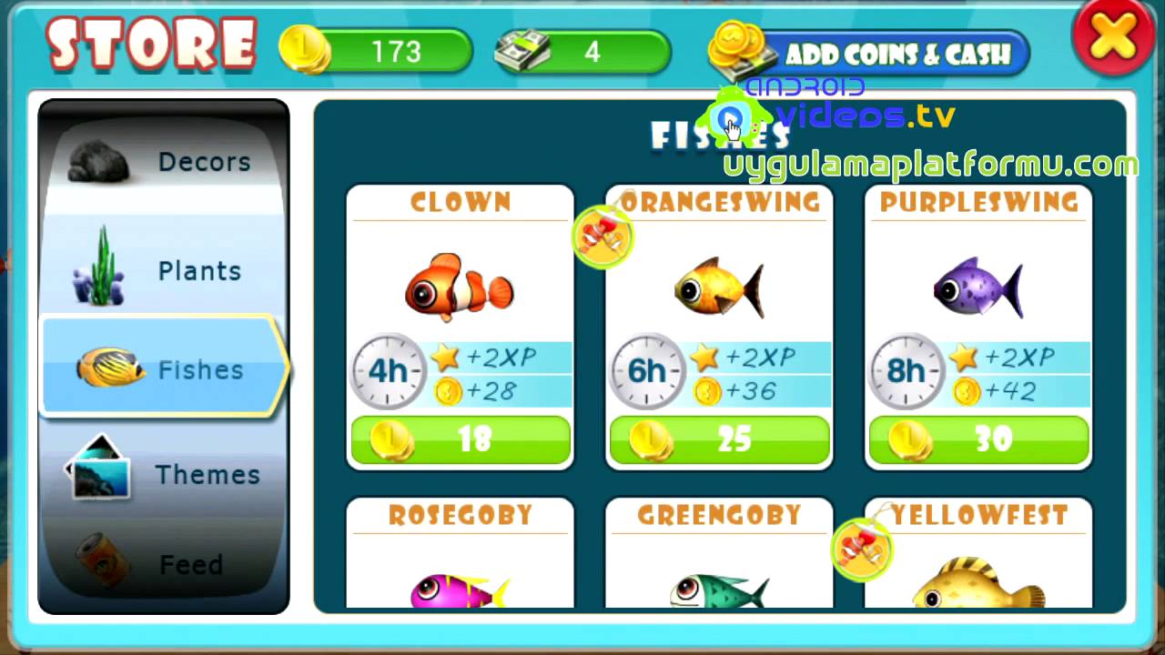 Android Fish Live Trailer - YouTube