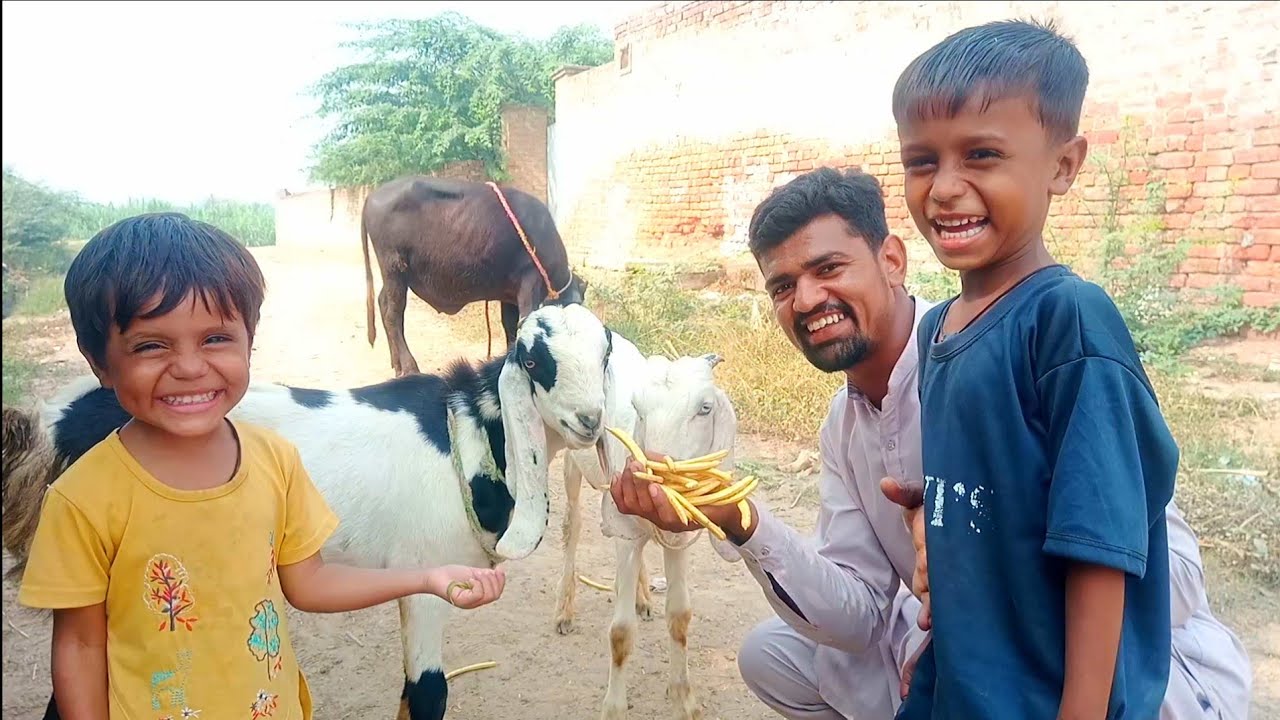 Tinu minu k lia bahut sari phalyan mil gaye | adil charwaha - YouTube