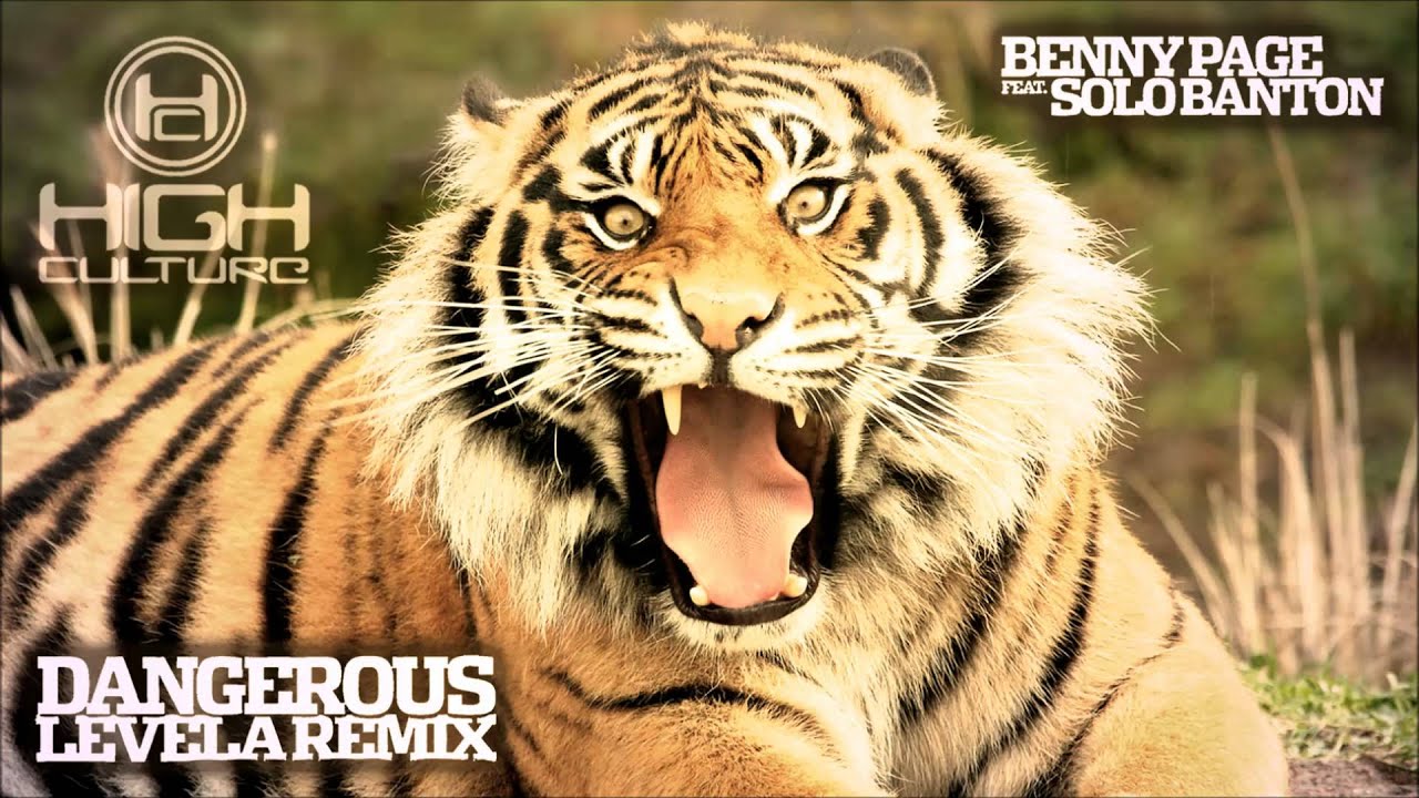 benny page feat. solo banton - dangerous [levela remix] - YouTube