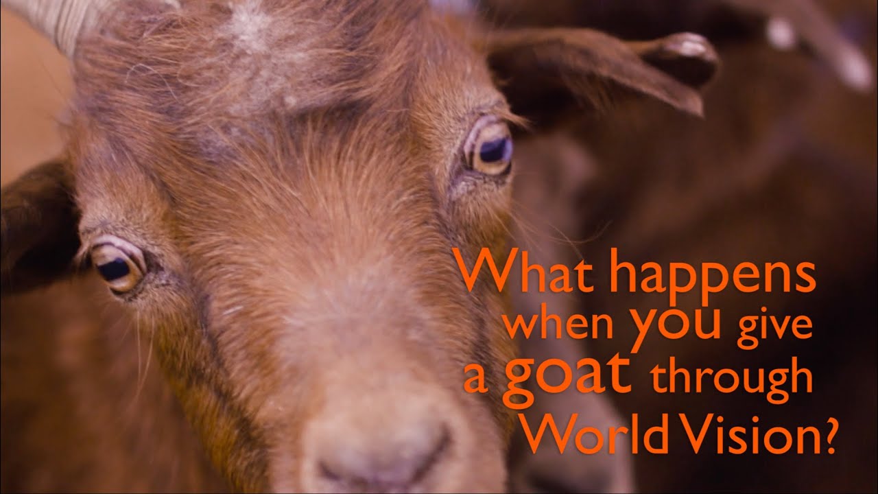 Journey of a Goat | World Vision - YouTube