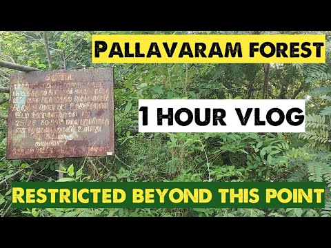 Exploring Restricted area in Chennai | Pallavaram forest | Tirusulam ...