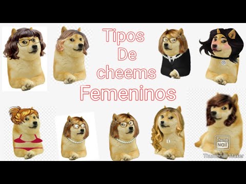 Tipos de cheems femeninos - YouTube