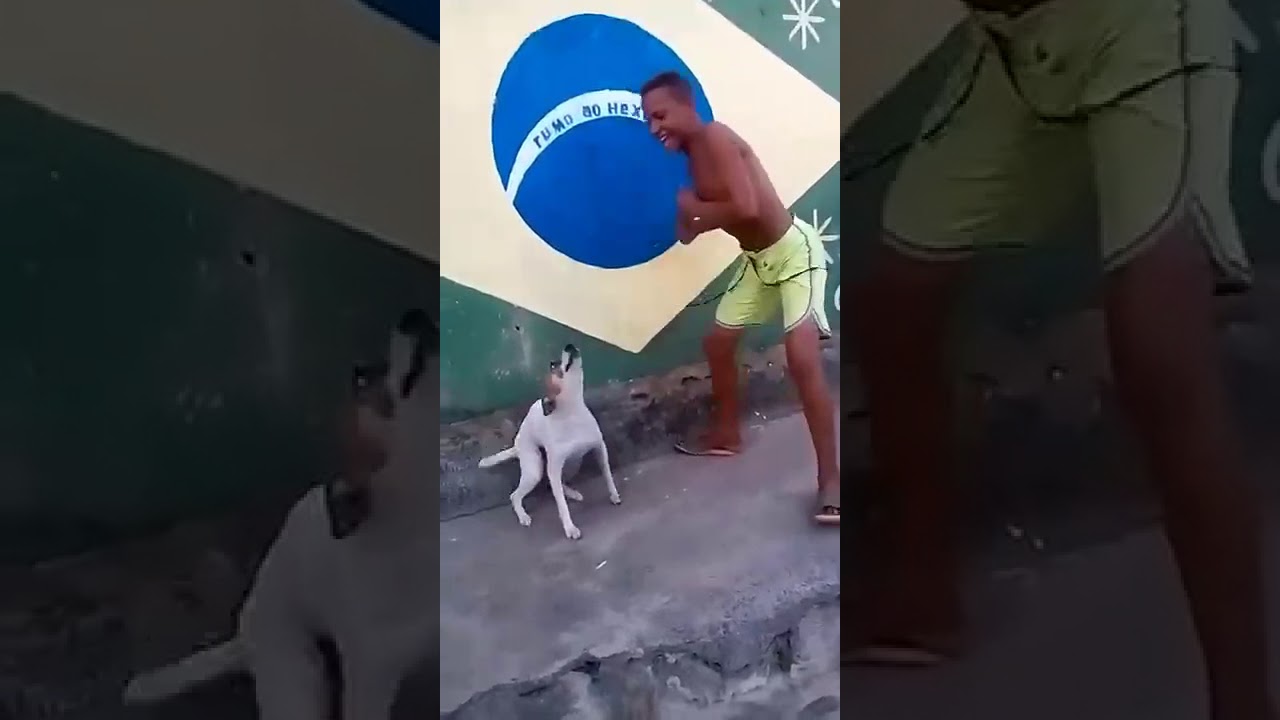 Cuando Te Gusta Bailar YouTube cuando-te-gusta-bailar-youtube